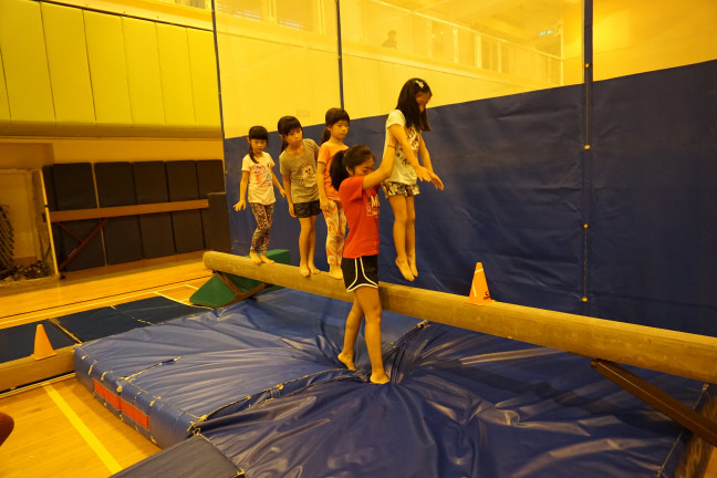 Gymnastics and Trampoline Day Camp (YMCA)